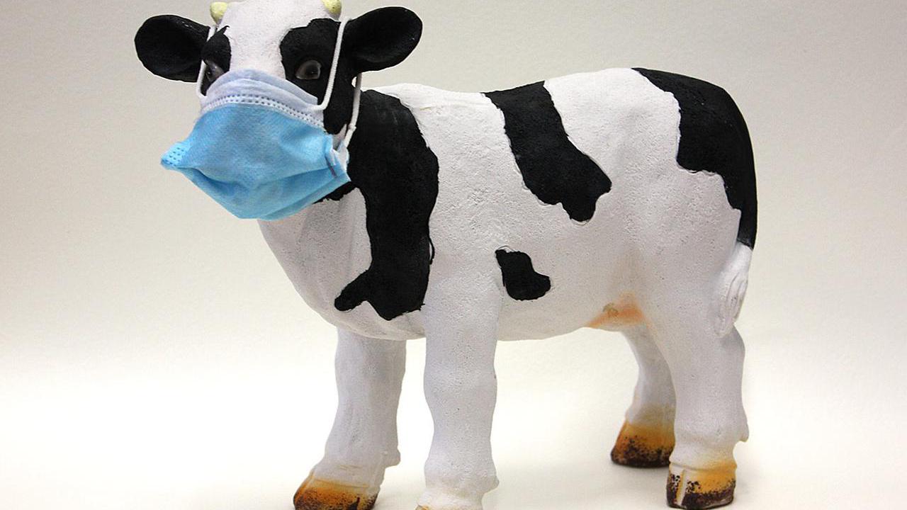 Schaufenster Stadtgeschichte präsentiert | Stadt Bochum